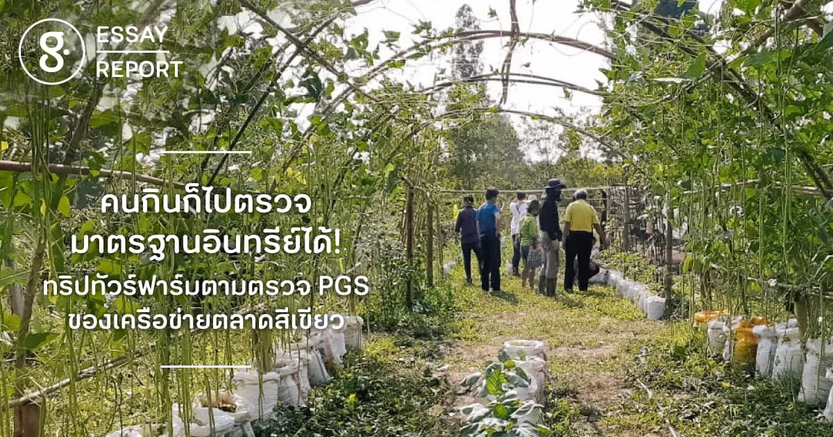 คนกินก็ไปตรวจมาตรฐานอินทรีย์ได้! ทริปทัวร์ฟาร์มตามตรวจ PGS ของเครือข่ายตลาดสีเขียว - greenery.