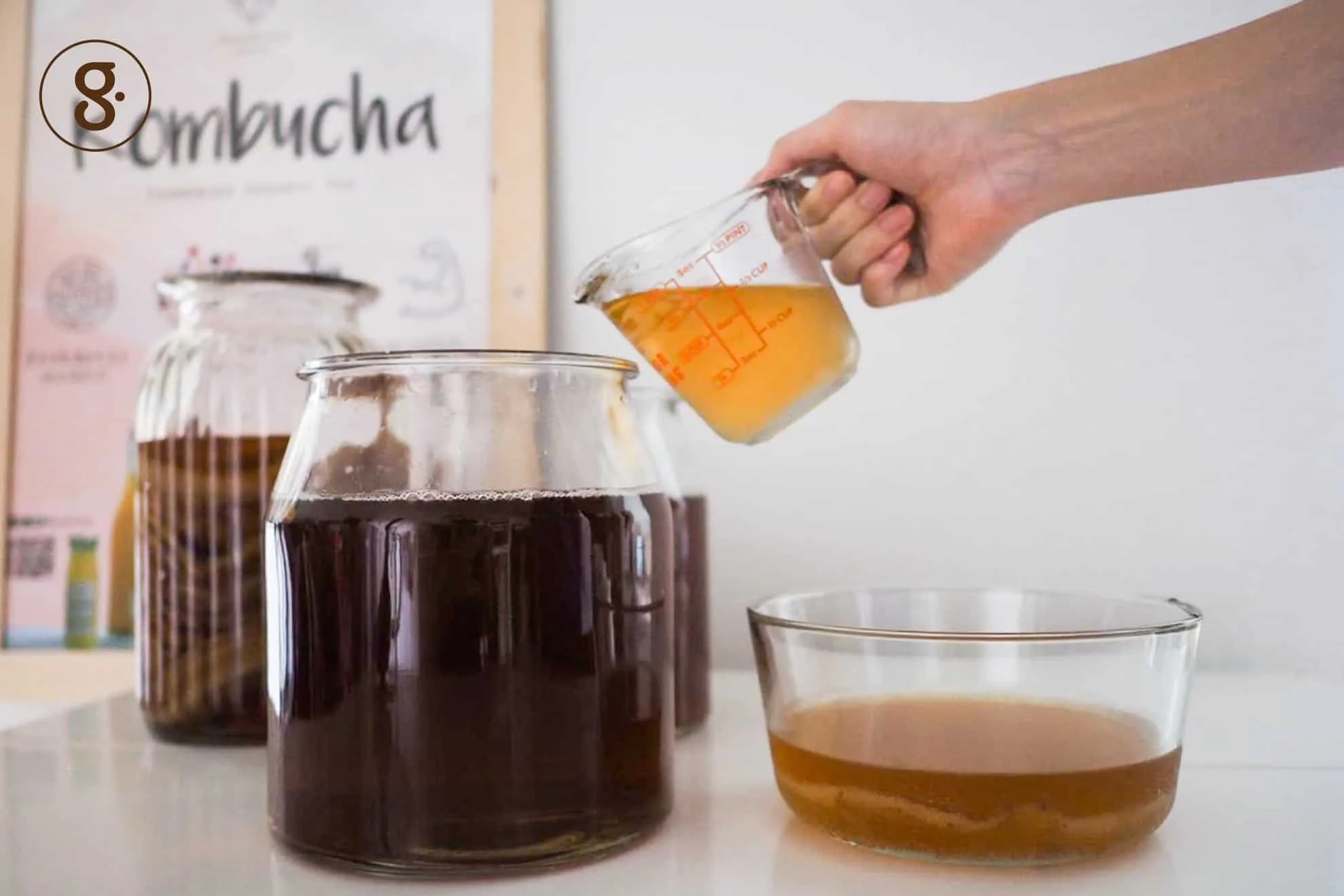 Chef Black_Kombucha-03 - greenery.