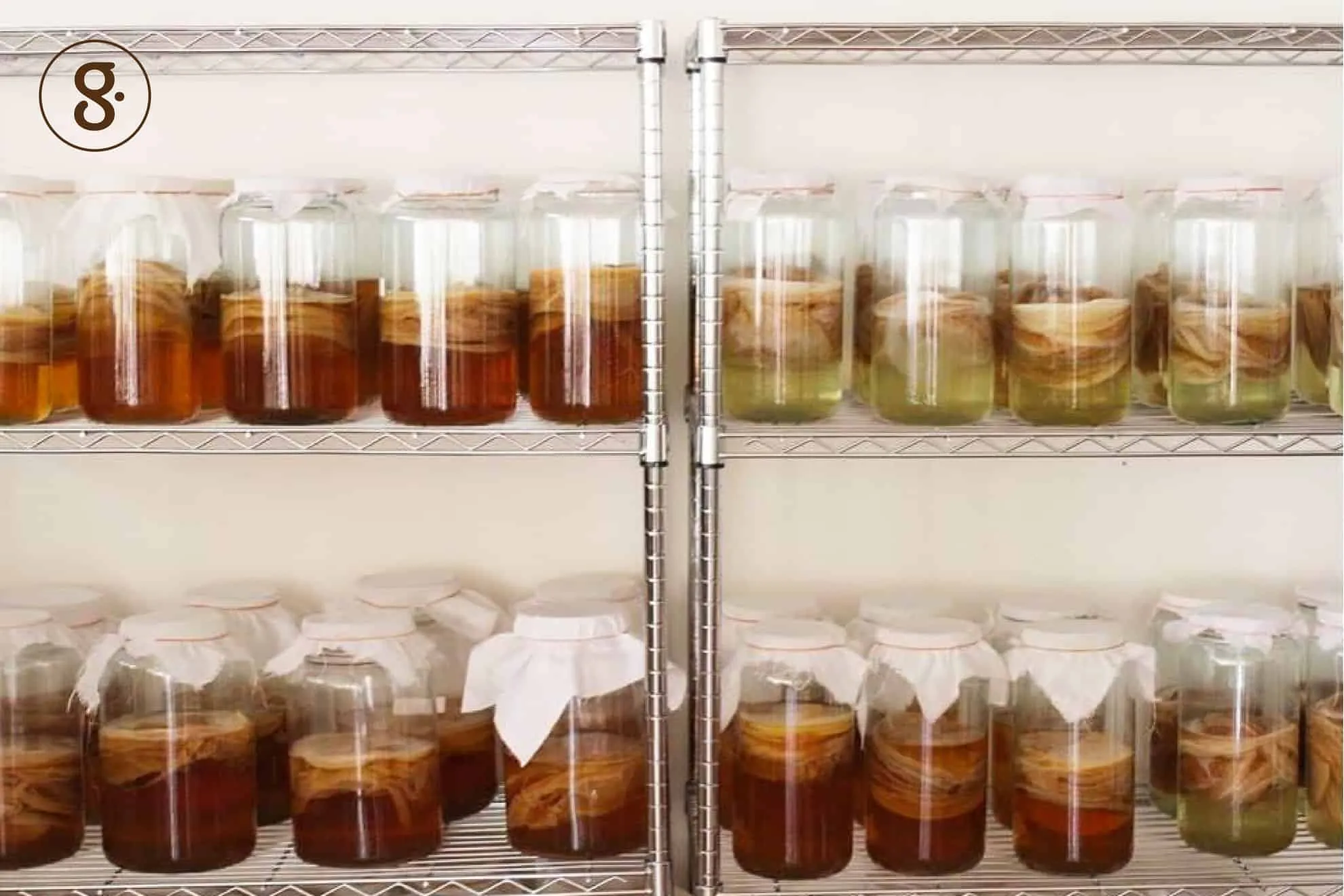 Chef Black_Kombucha-05 - greenery.