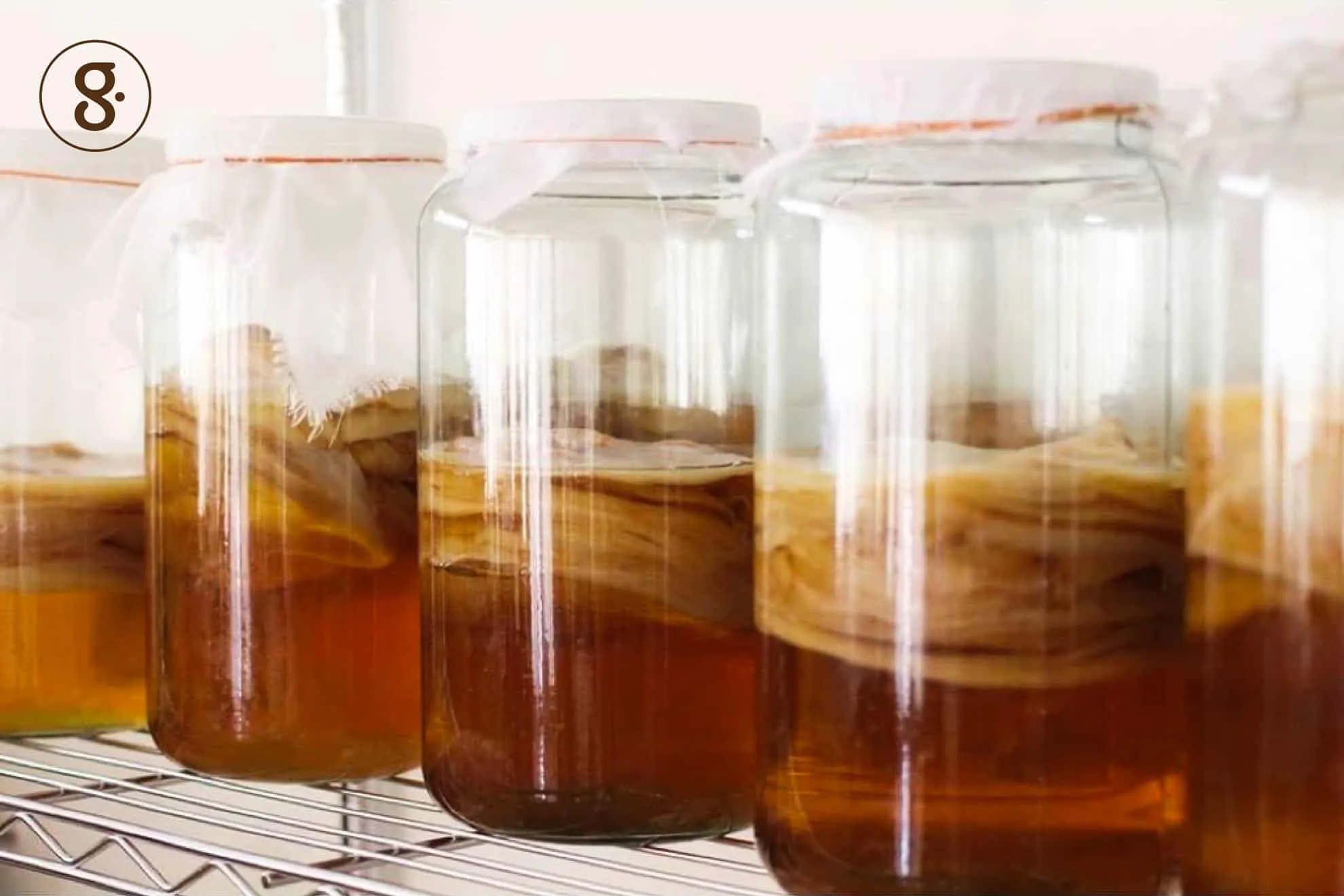 Chef Black_Kombucha-06 - greenery.