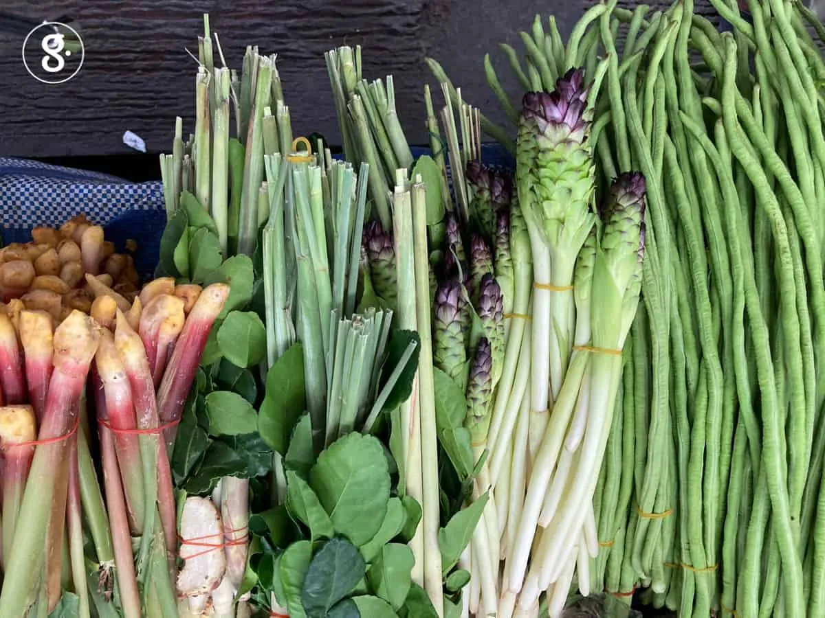 Special_Food Security-9 - greenery.