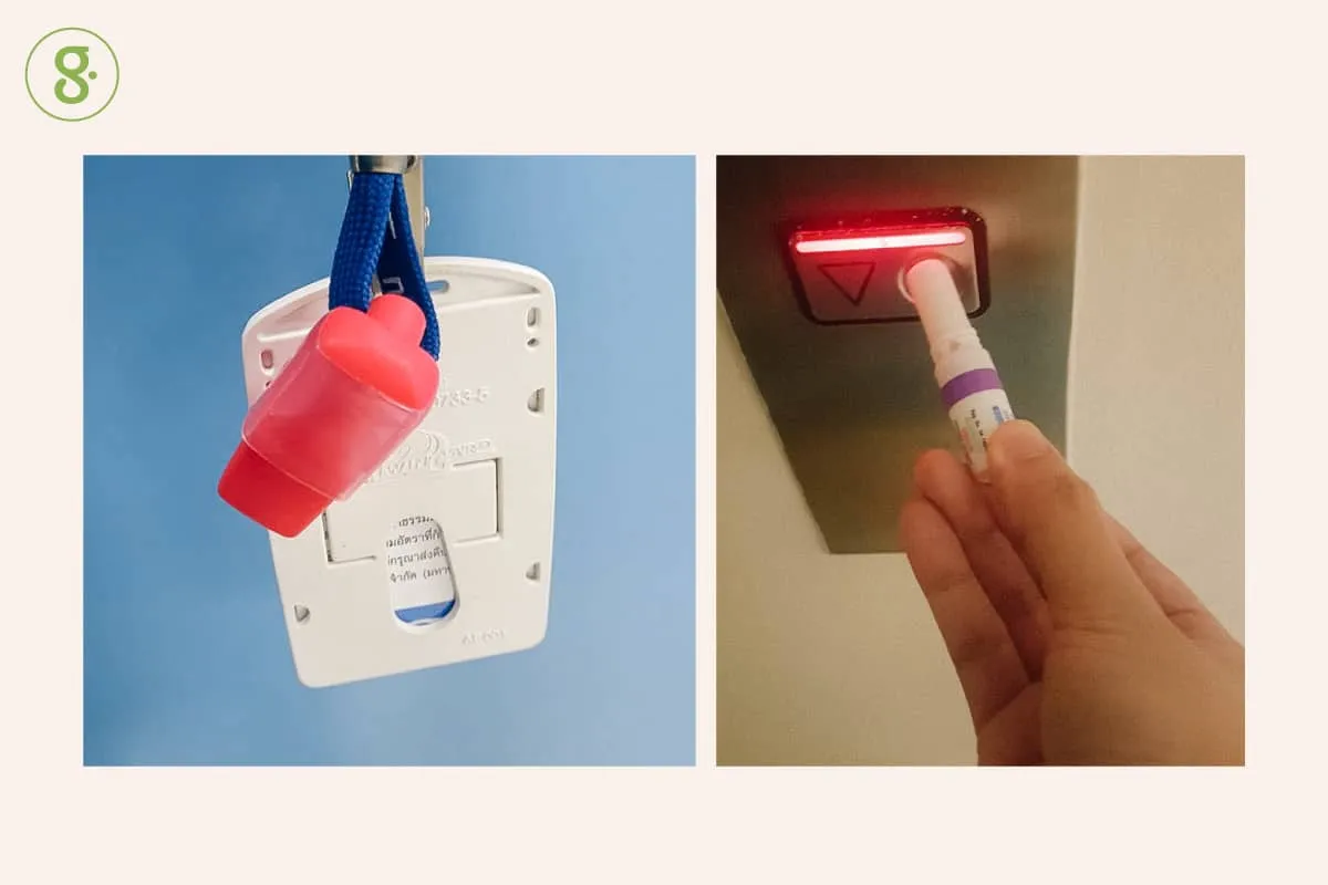 covid#19GreeneryChallenge-02edit - greenery.