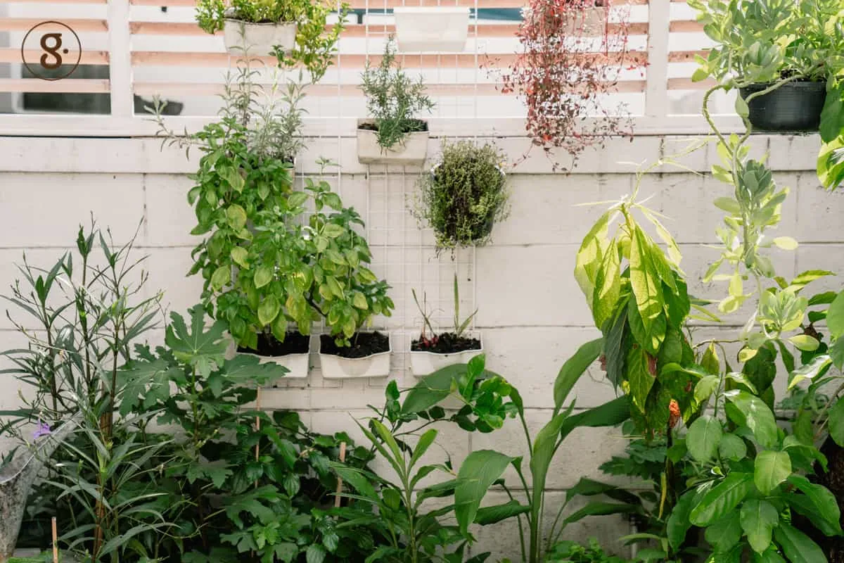 People_กฤช เหลือลมัย-13 - greenery.