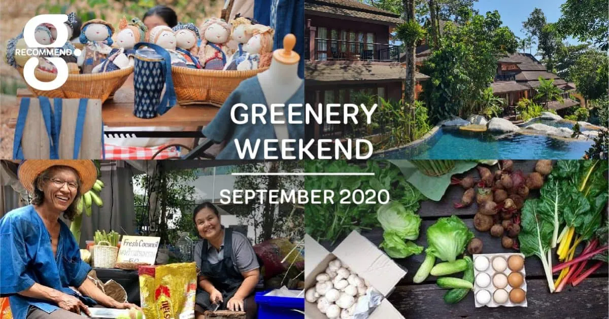 กันยาพากันกรีน ออกไปจอยกิจกรรมที่ฉุดพลังใจให้ Go Green ไปด้วยกัน - greenery.