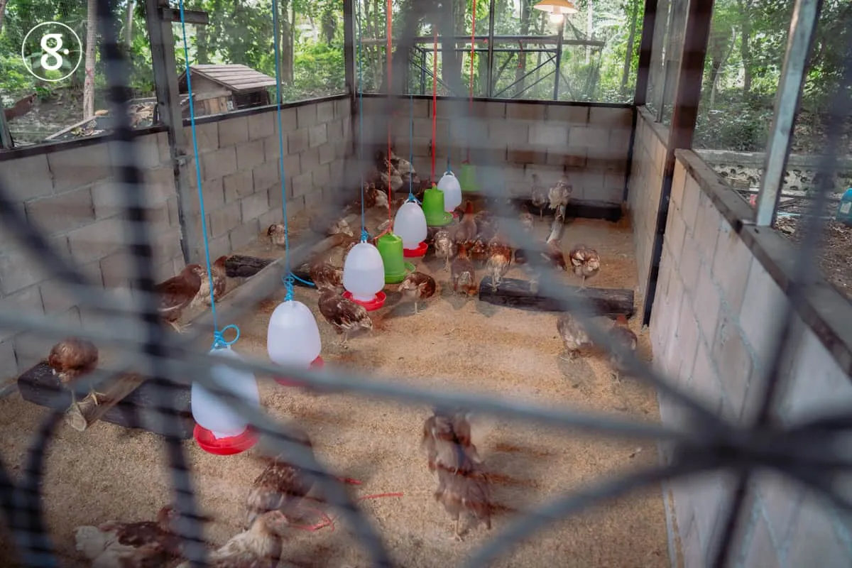 Recommend_Somdul-20 - greenery.