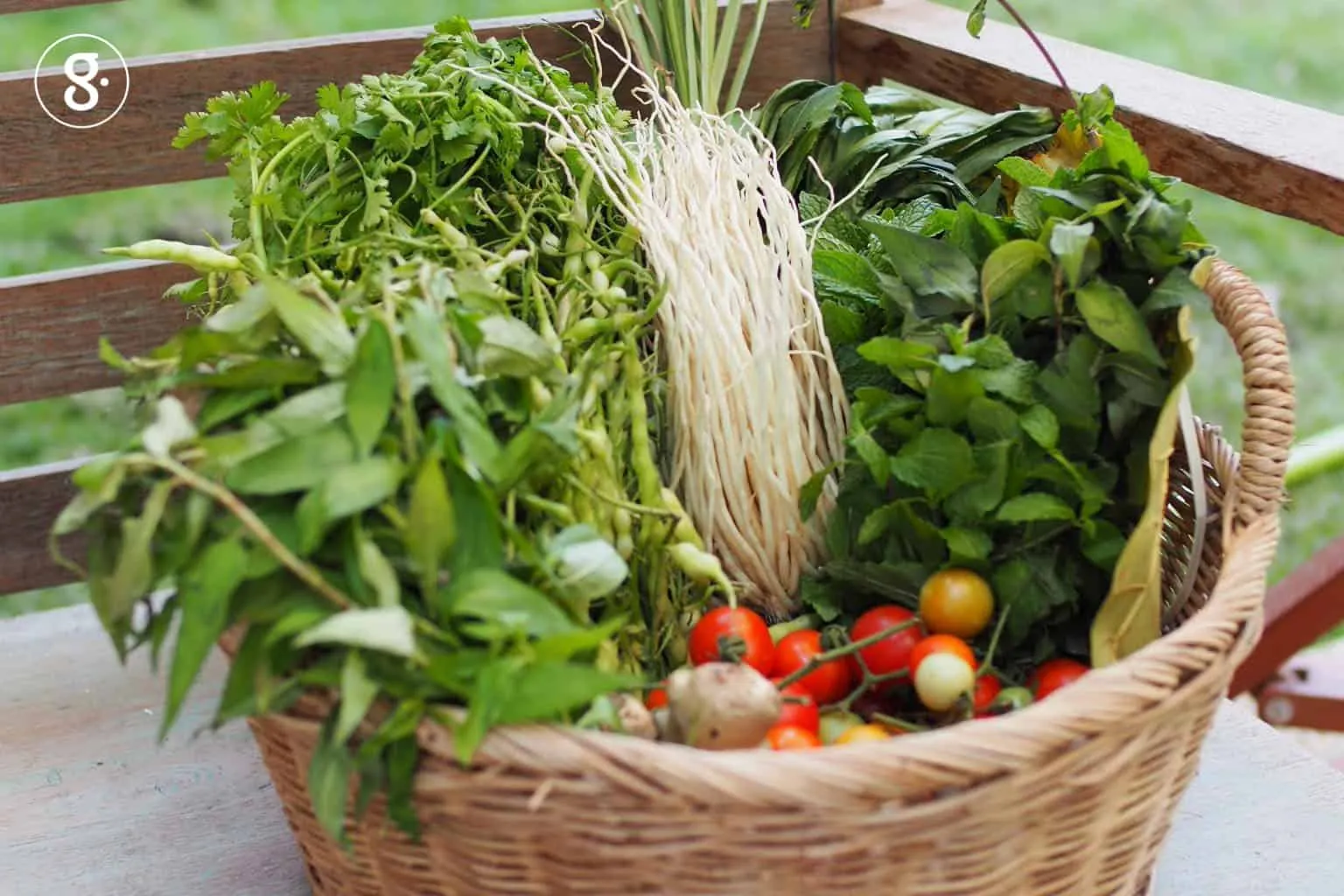 Trend_Foraging Trend-12 - greenery.