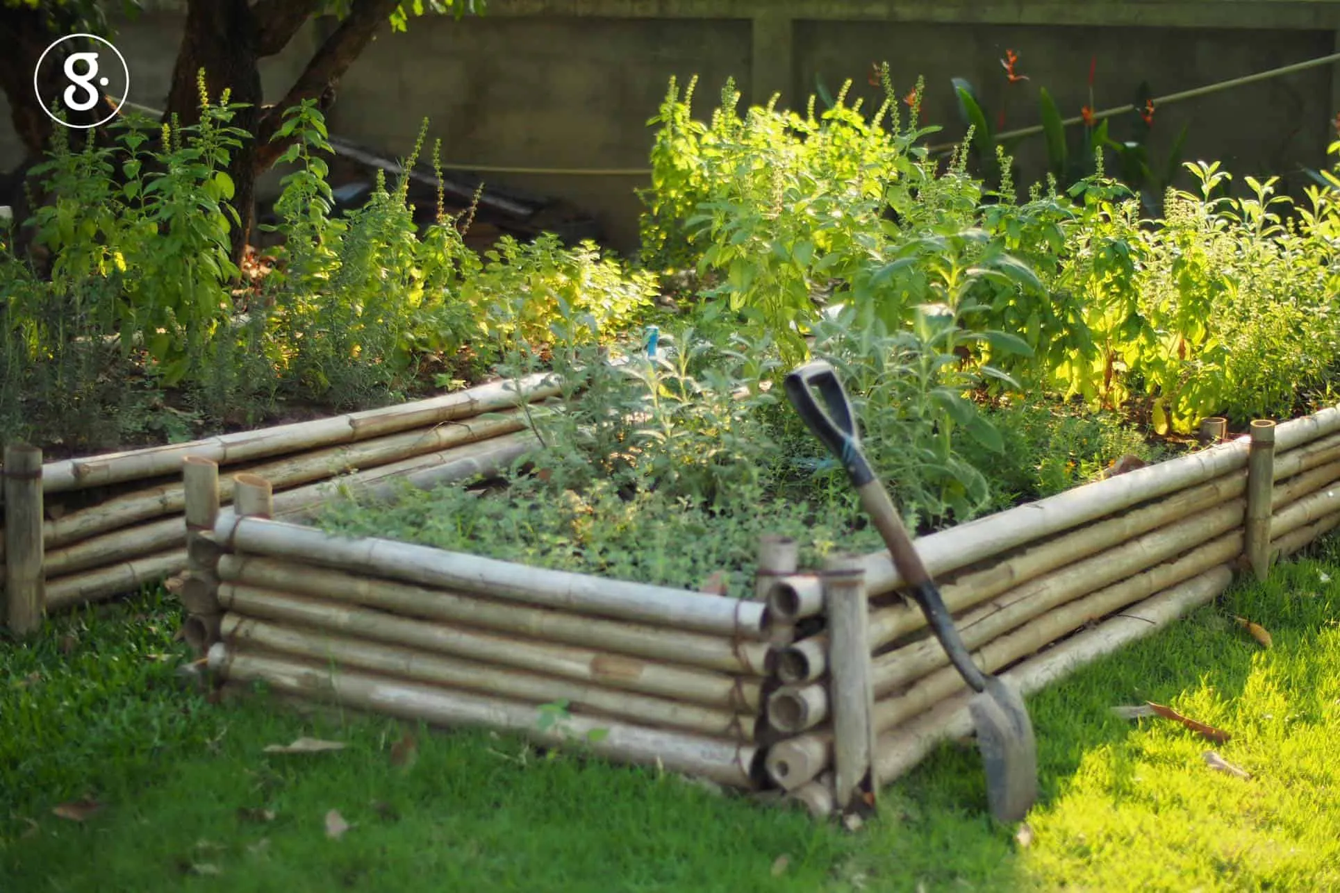 Trend_Foraging Trend-15 - greenery.