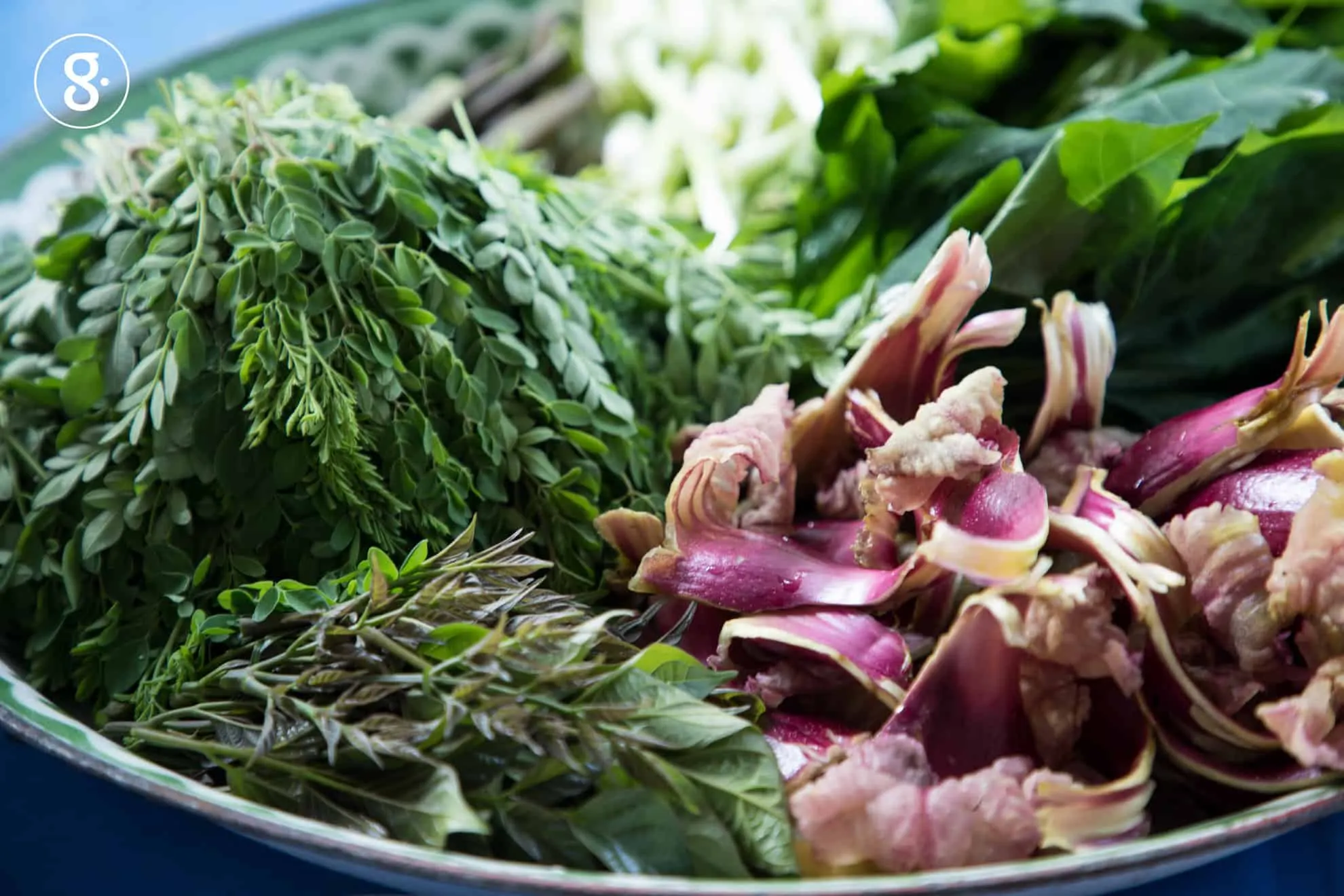 Trend_Foraging Trend-2 - greenery.