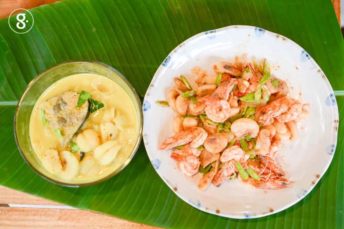 How to_มังคุดคัด-19 - greenery.