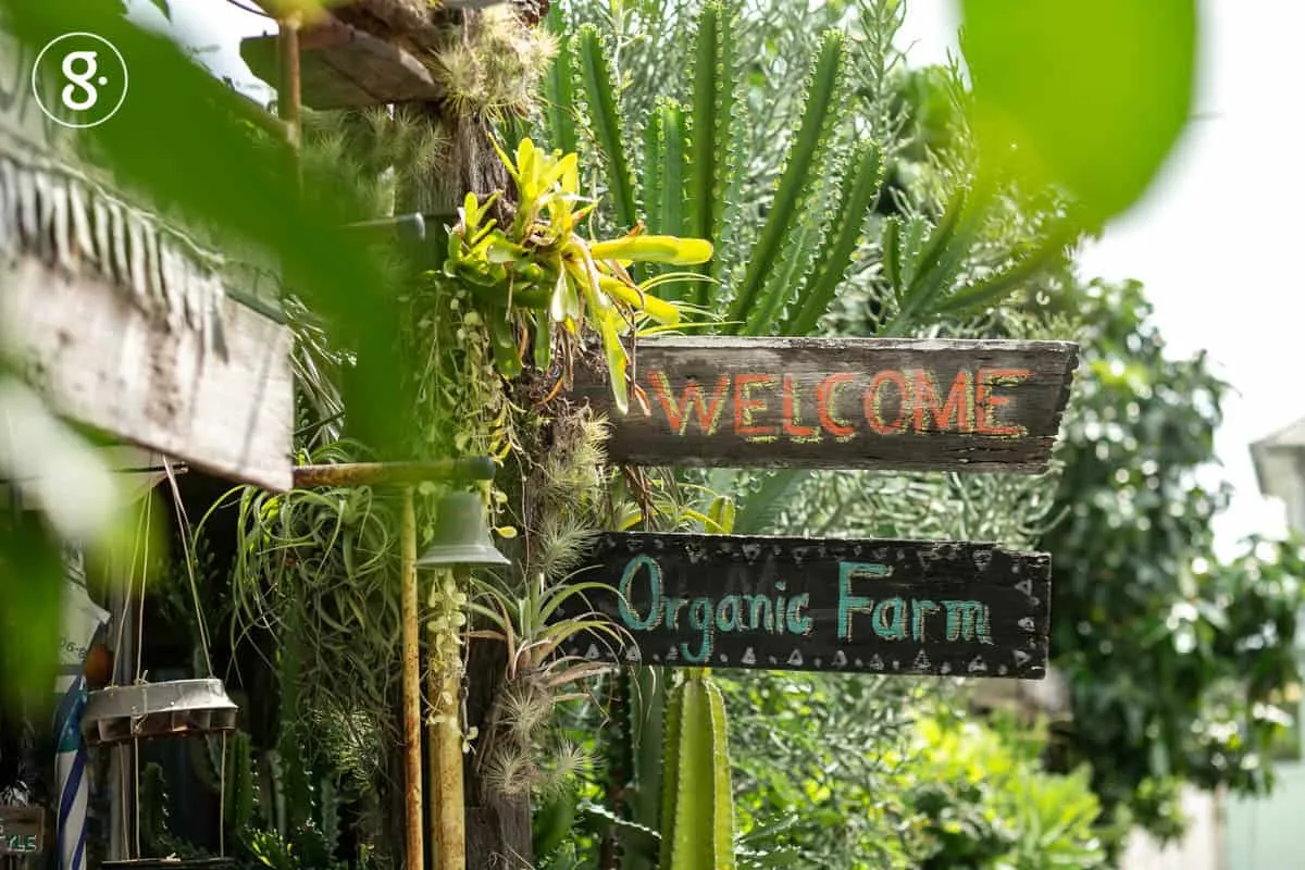 People_James 500-3 - greenery.