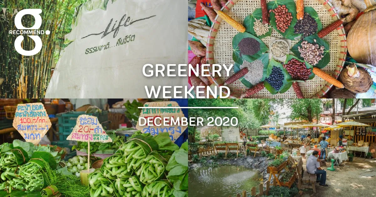 ทิ้งทวนท้ายปีด้วยรัก และ (อยากให้) สุขภาพดี กับกิจกรรมสายกรีนที่มีตลอดเดือนธันวาคม - greenery.