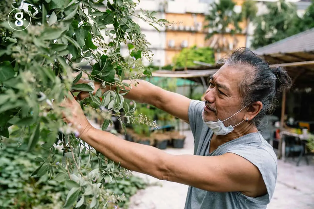 People_ครูอุษา-21 - greenery.