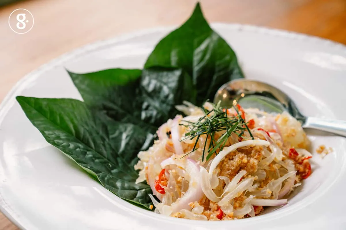 Recommend_ปลูกกับปรุง-18 - greenery.