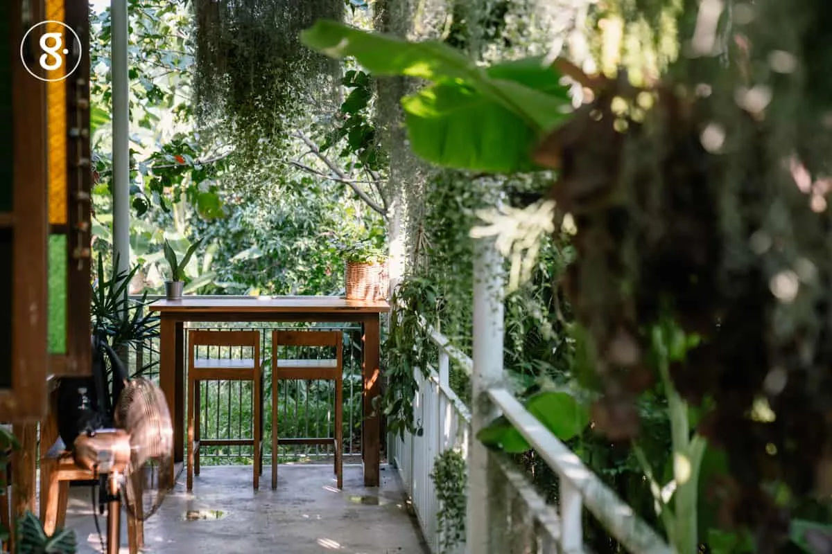 Recommend_ปลูกกับปรุง-4 - greenery.