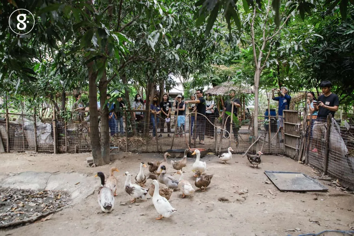 Report_Greenery Trip 02-2 - greenery.