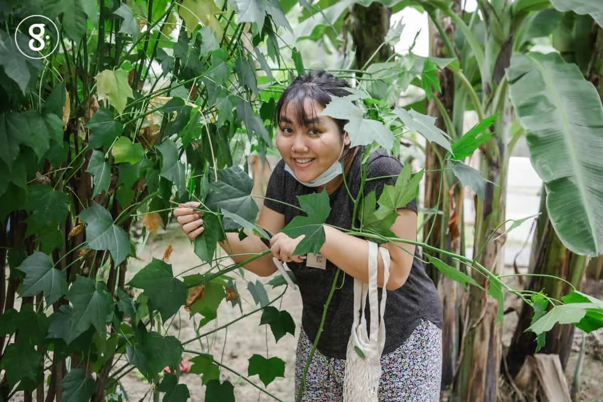 Report_Greenery Trip 02-21 - greenery.