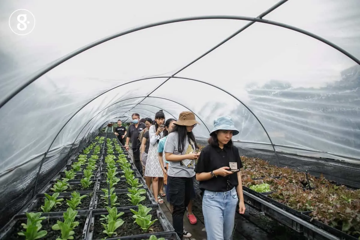 Report_Greenery Trip 02-29 - greenery.