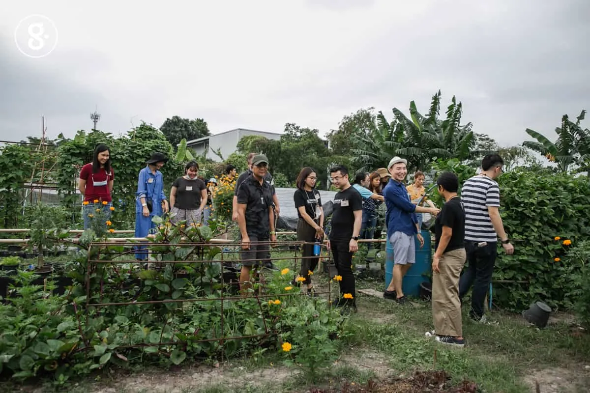 Report_Greenery Trip 02-32 - greenery.