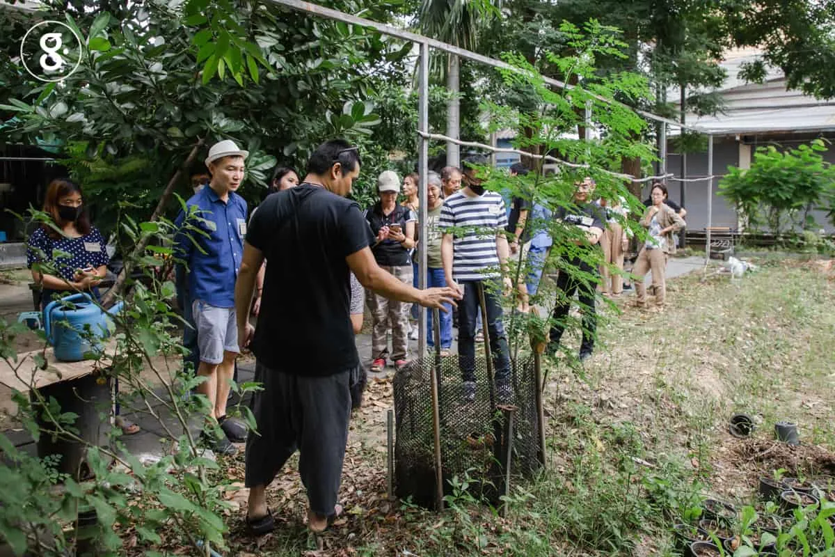 Report_Greenery Trip 02-4 - greenery.