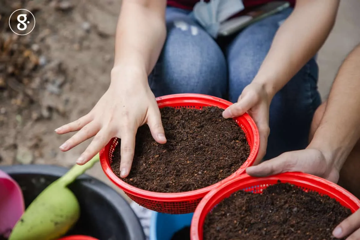 Report_Greenery Trip 02-9 - greenery.