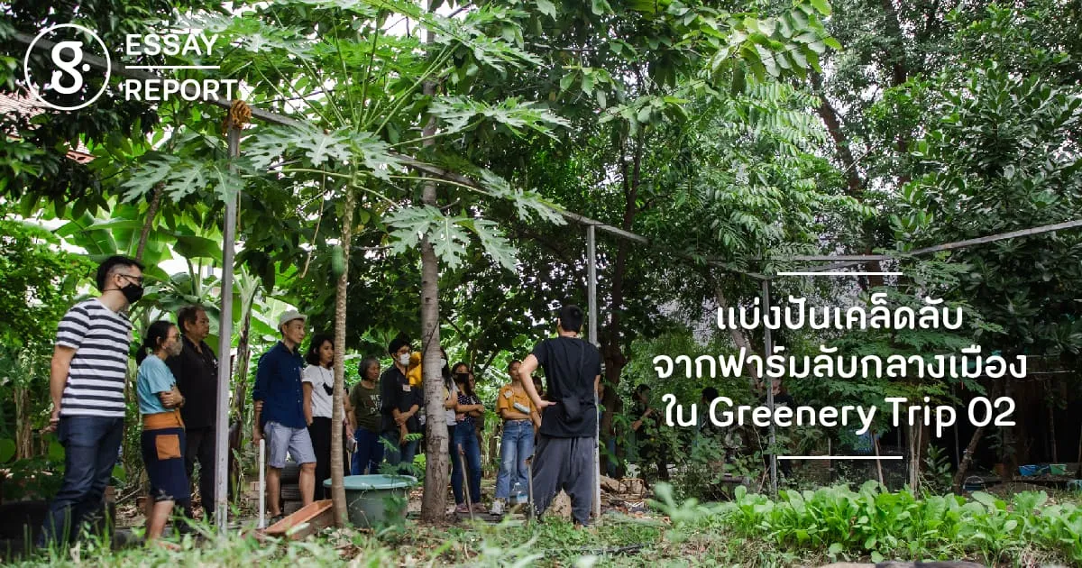 Report_Greenery Trip_Thumbnail-01 - greenery.