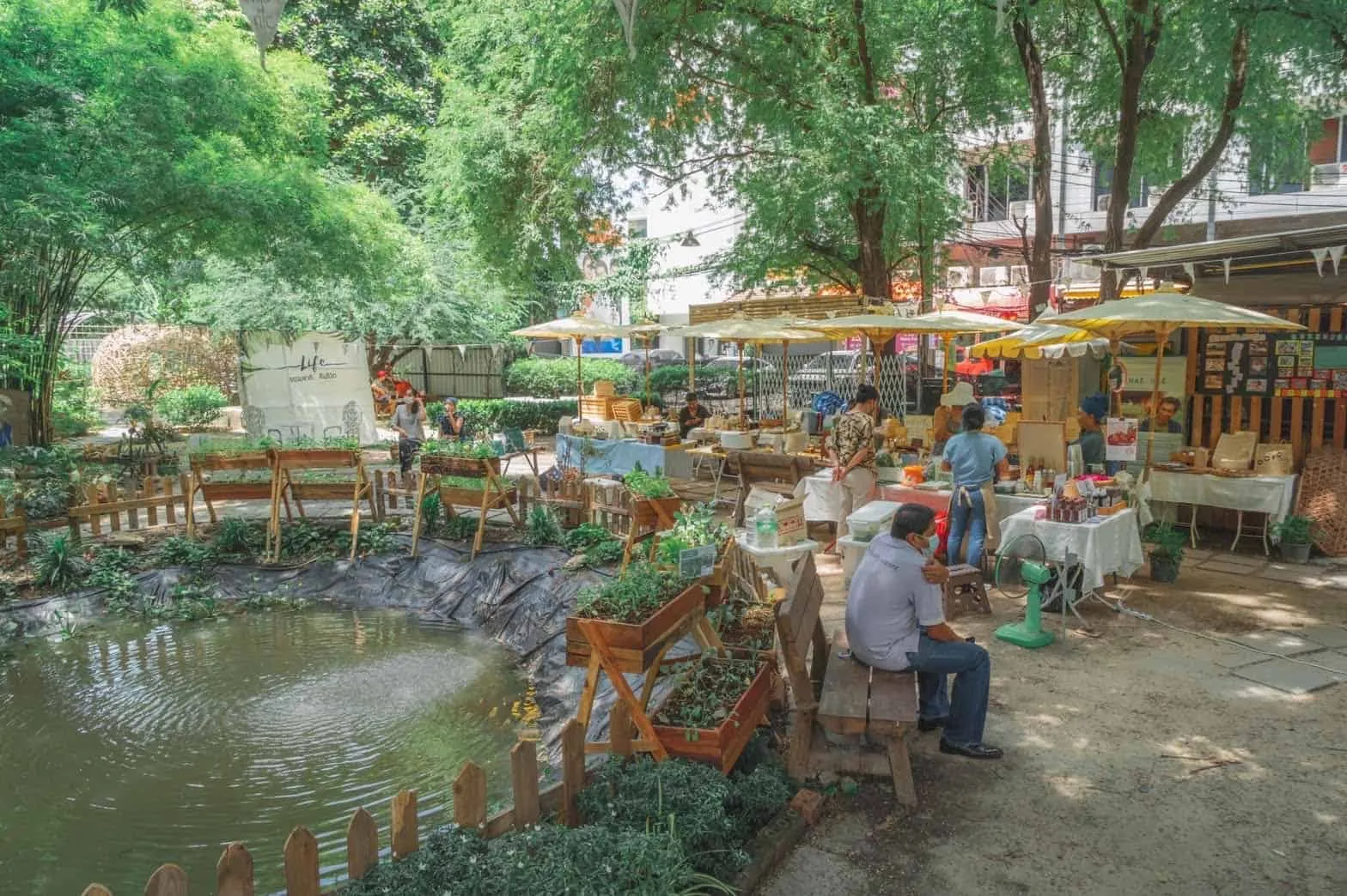 unnamed (3) - greenery.