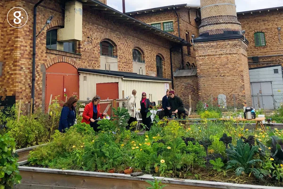 กินดีสวีเดน_Urban Garden-16 - greenery.