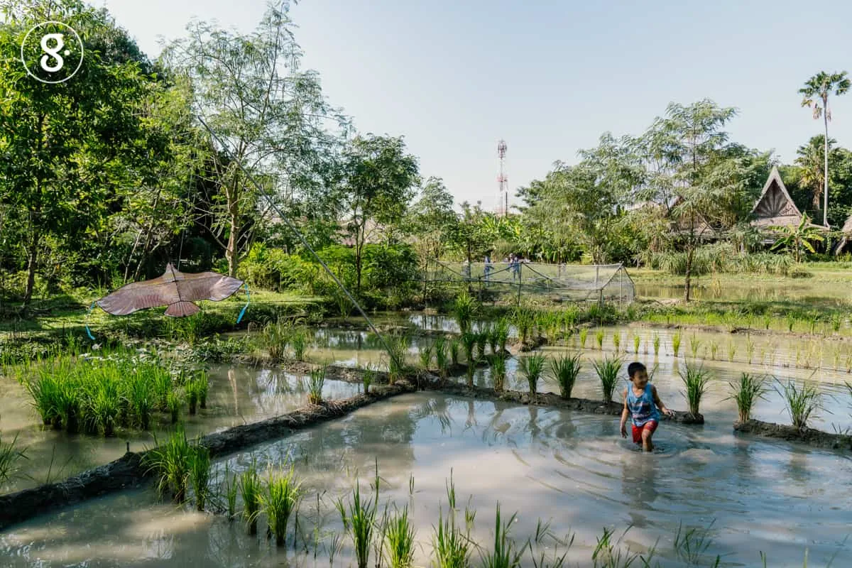 People_Patom Organic-15 - greenery.