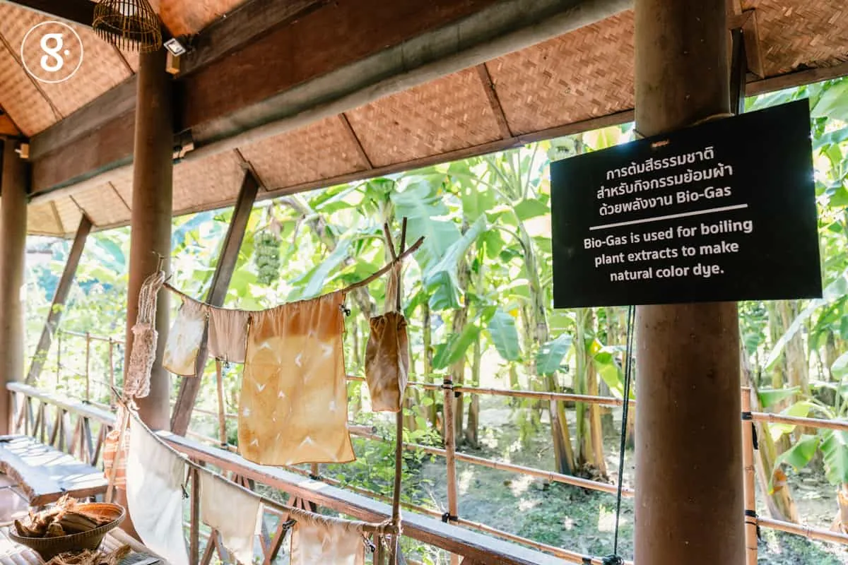 People_Patom Organic-18 - greenery.