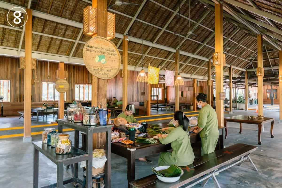 People_Patom Organic-24 - greenery.