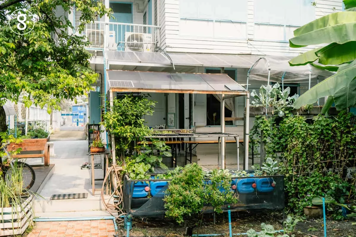 People_สวนผักบ้านคุณตา-18 - greenery.