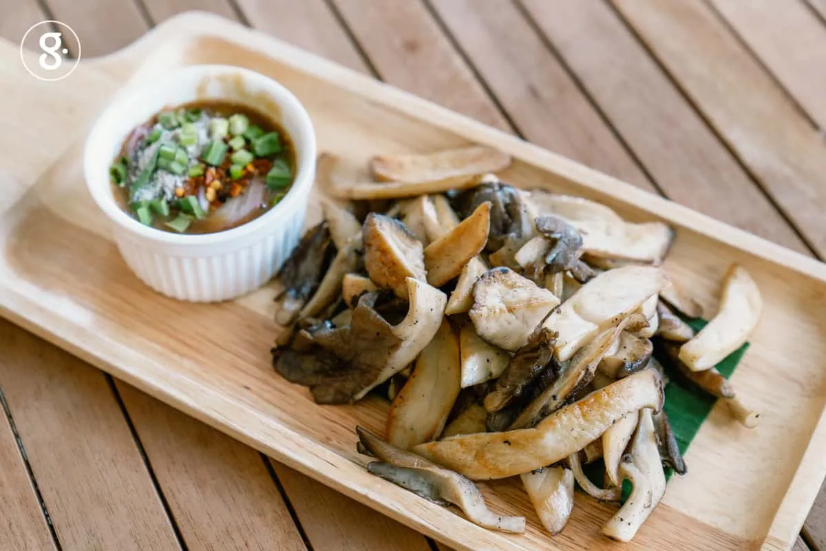 Recommend_ต้นกล้าฟ้าใส-1 - greenery.