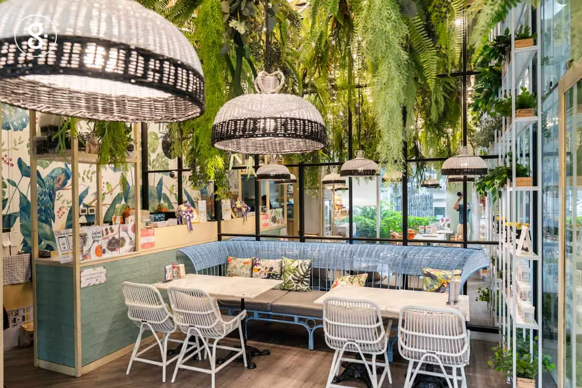 Recommend_ต้นกล้าฟ้าใส-18 - greenery.