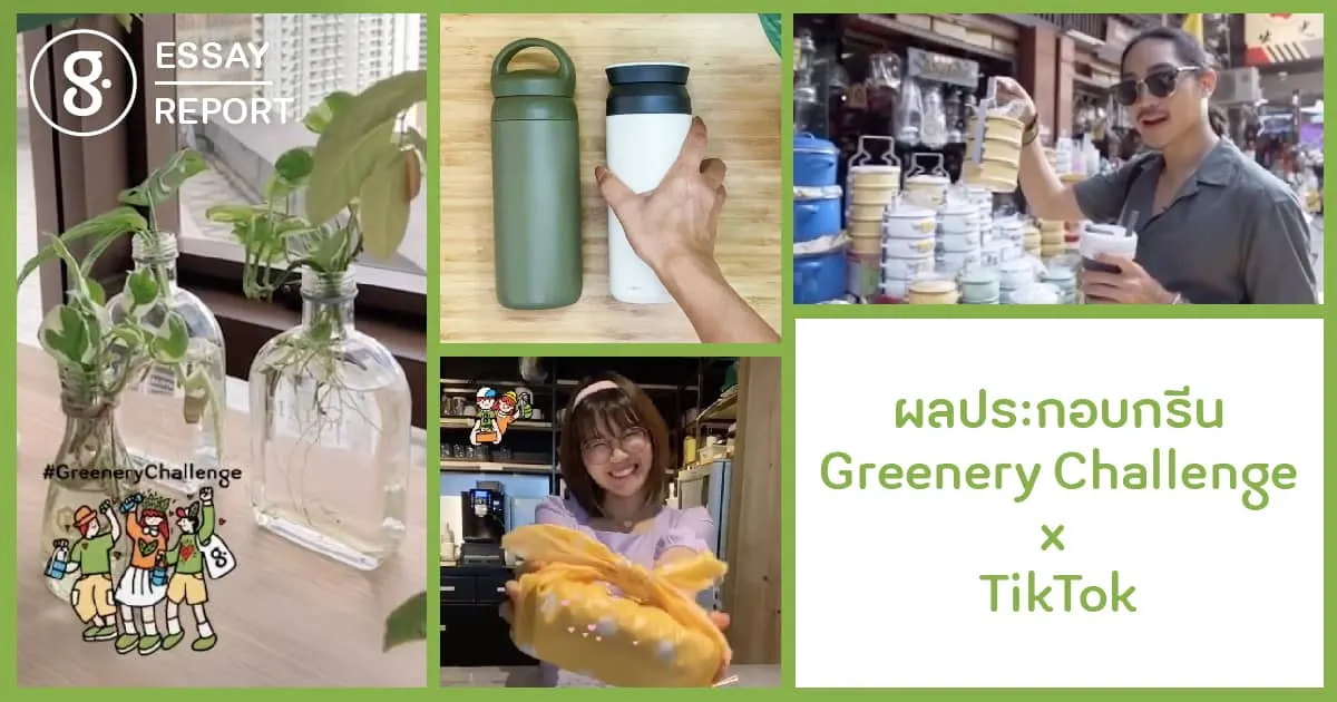 ผลประกอบกรีน Greenery Challenge x TikTok - greenery.
