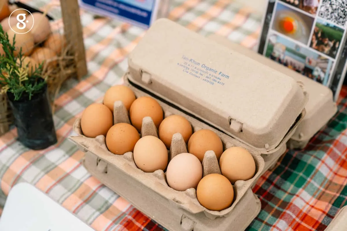 Report_สังคมสุขใจ-9 - greenery.