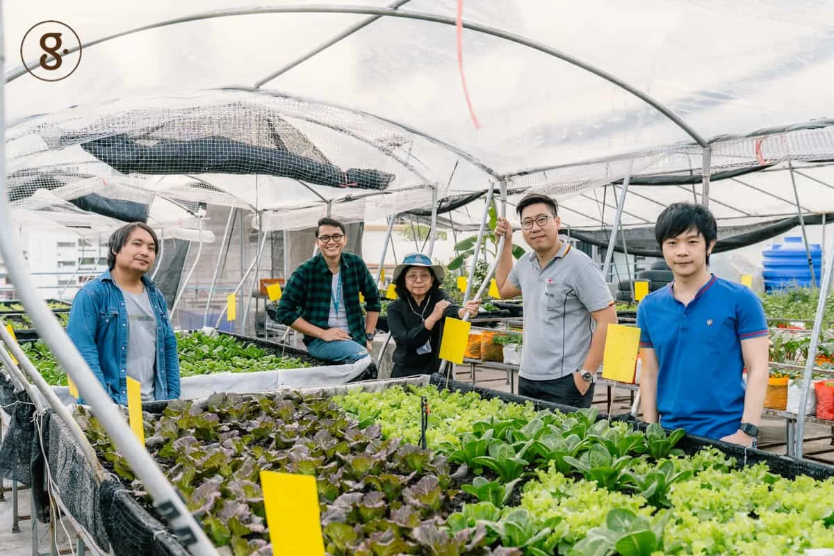 People_Wastegetable-13 - greenery.