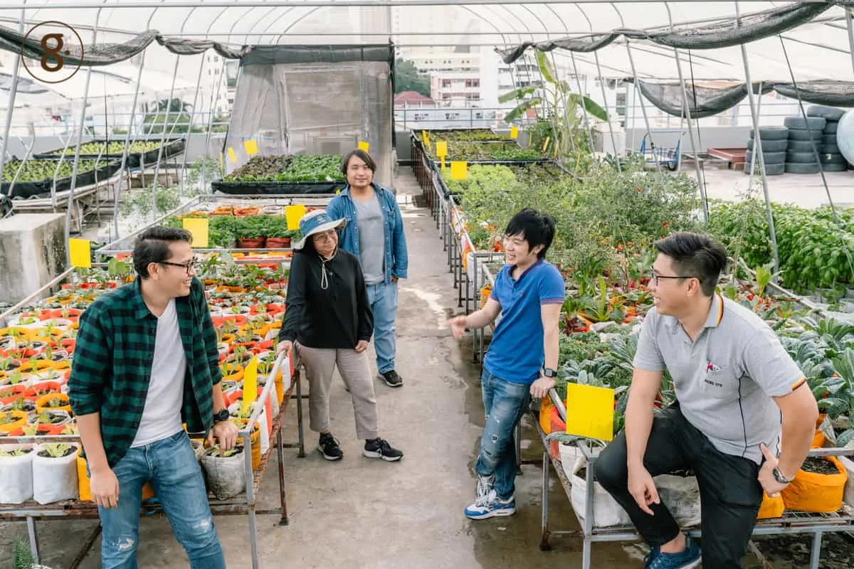 People_Wastegetable-16 - greenery.