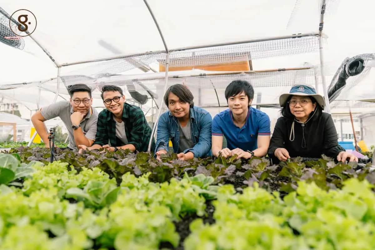 People_Wastegetable-19 - greenery.