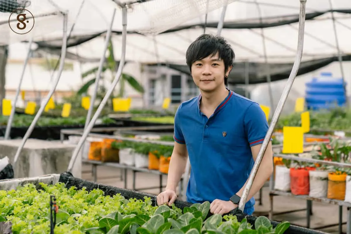 People_Wastegetable-24 - greenery.