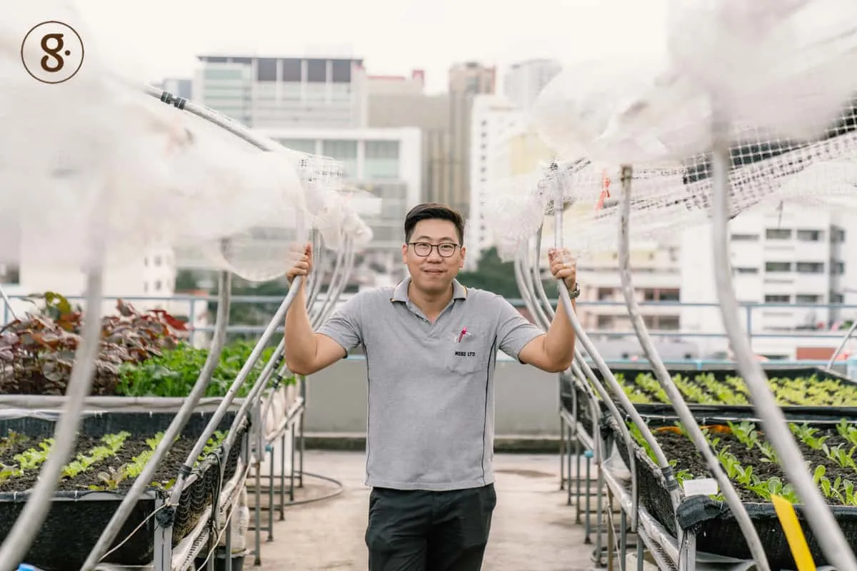 People_Wastegetable-25 - greenery.