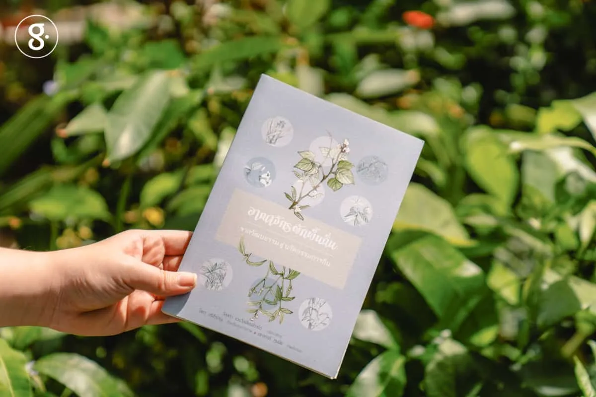 Recommend_อาหารผักพื้นถิ่น-1 - greenery.