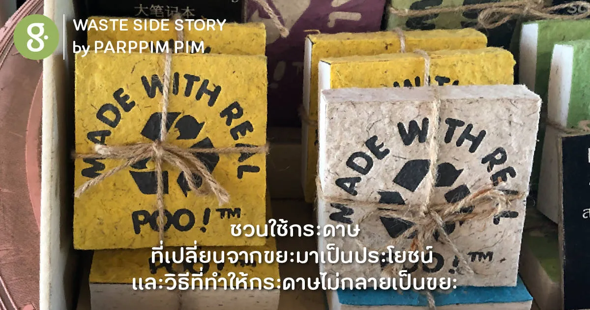 Waste Side Story_Waste to Paper_Thumbnail-01 - greenery.