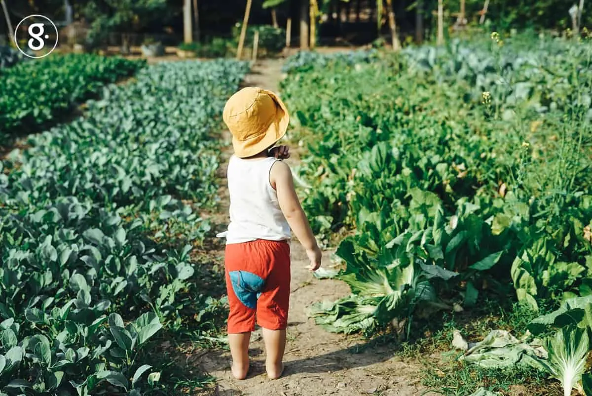 Insight_Organic Lifestyle-12 - greenery.