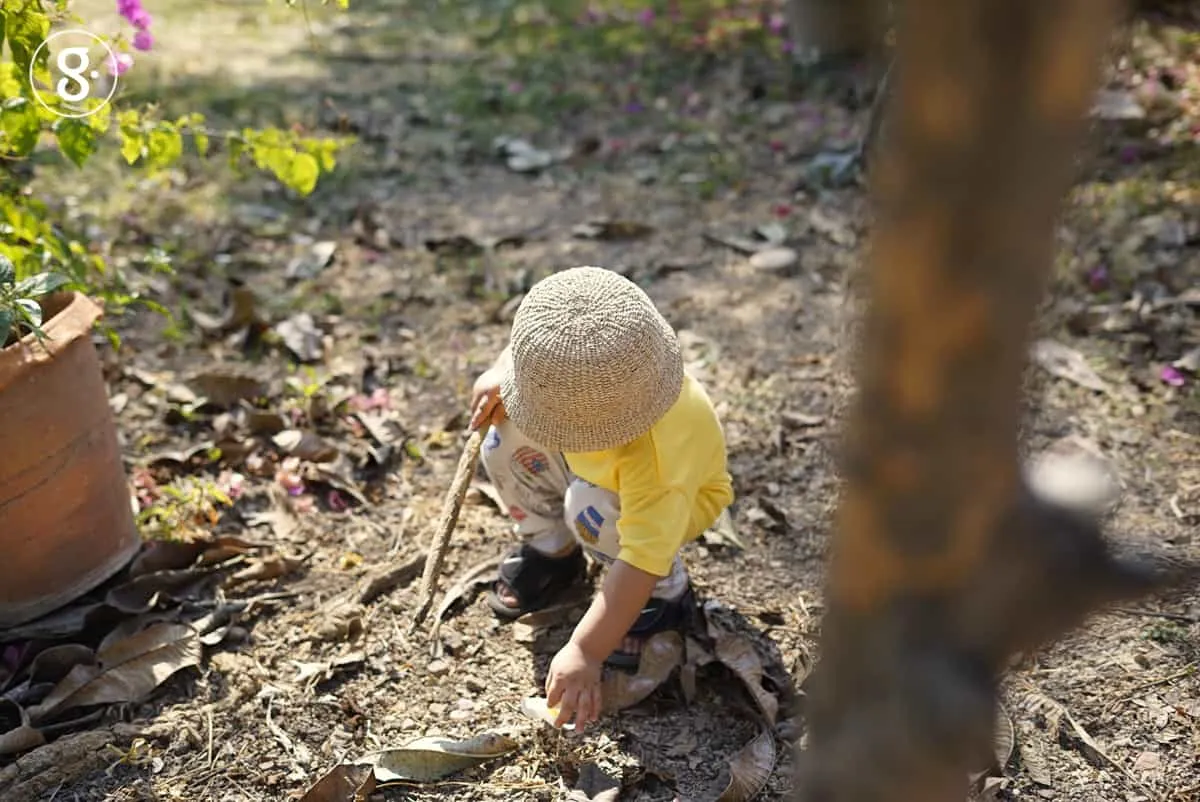 Insight_Organic Lifestyle-6 - greenery.