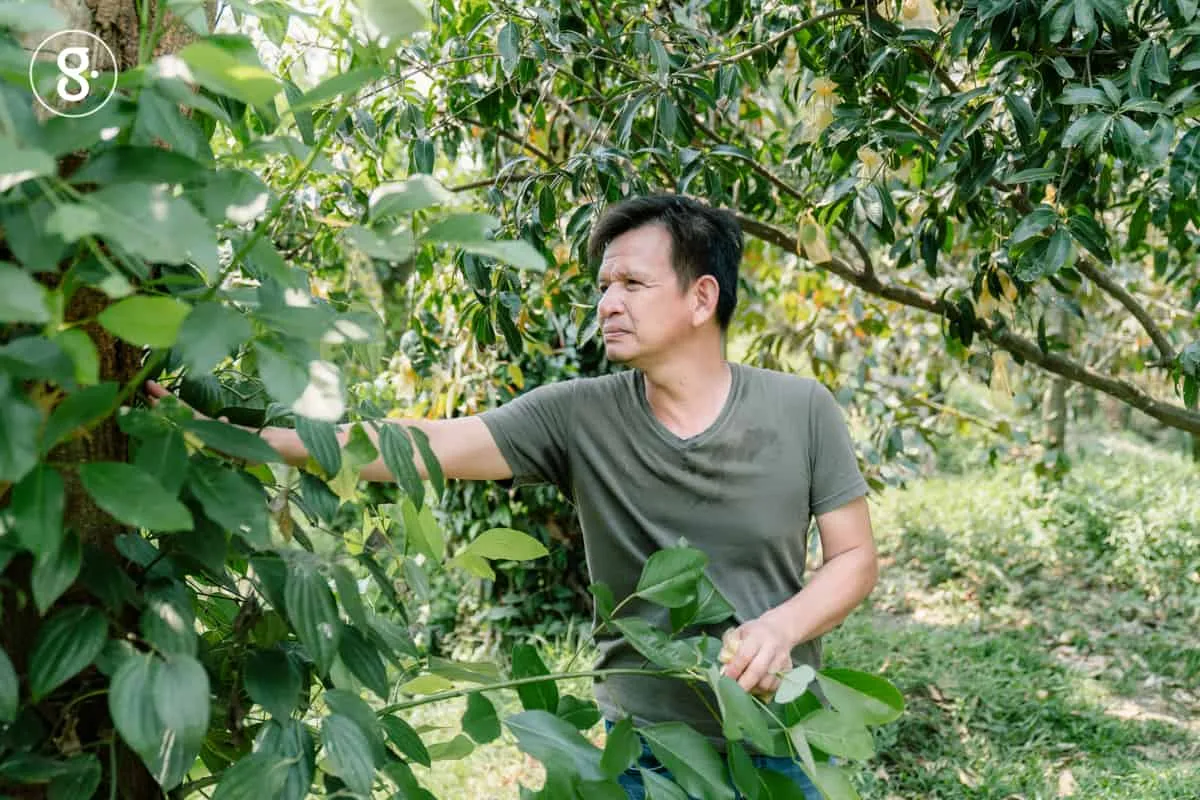 People_สุรศักดิ์ ทุเรียน-15 - greenery.