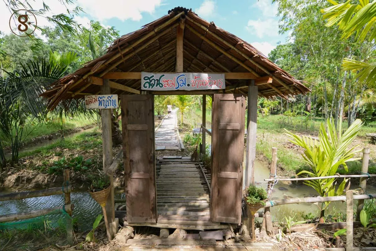 Recommend_สวนนาพรุ-1 - greenery.