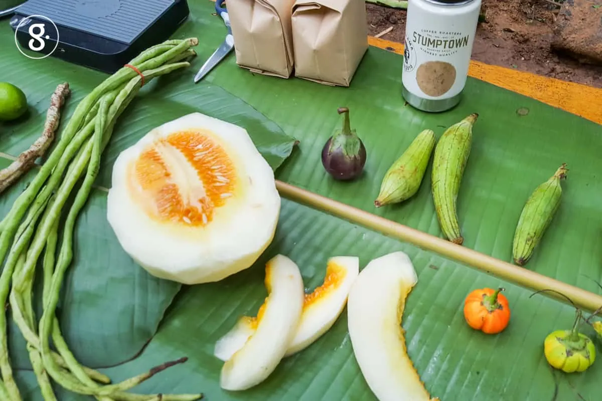 Report_Do Nothing Farm-3 - greenery.