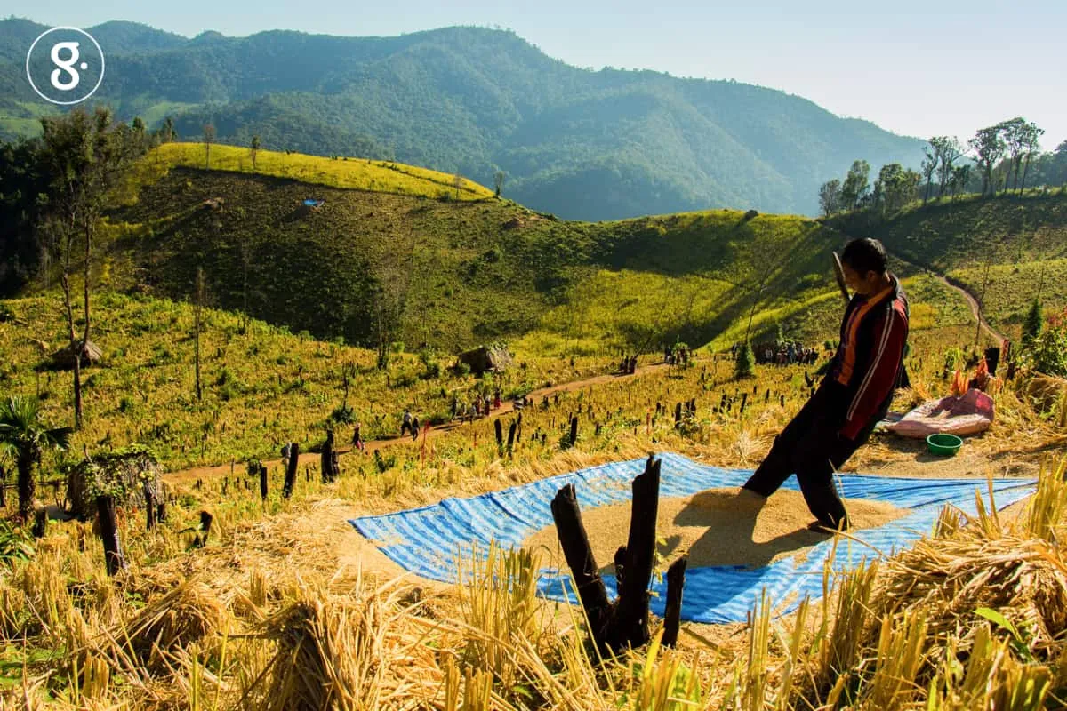 Report_Do Nothing Farm-4 - greenery.