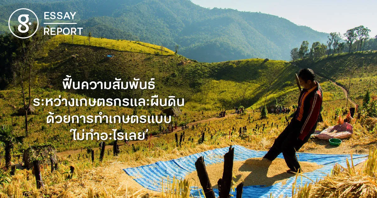 Report_Do Nothing Farm_Thumbnail-01 - greenery.