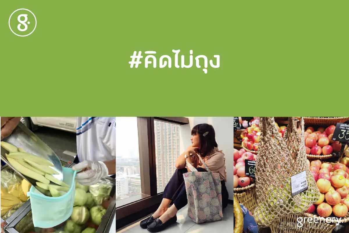 Report_Greenery Healthy Workplace-10 - greenery.